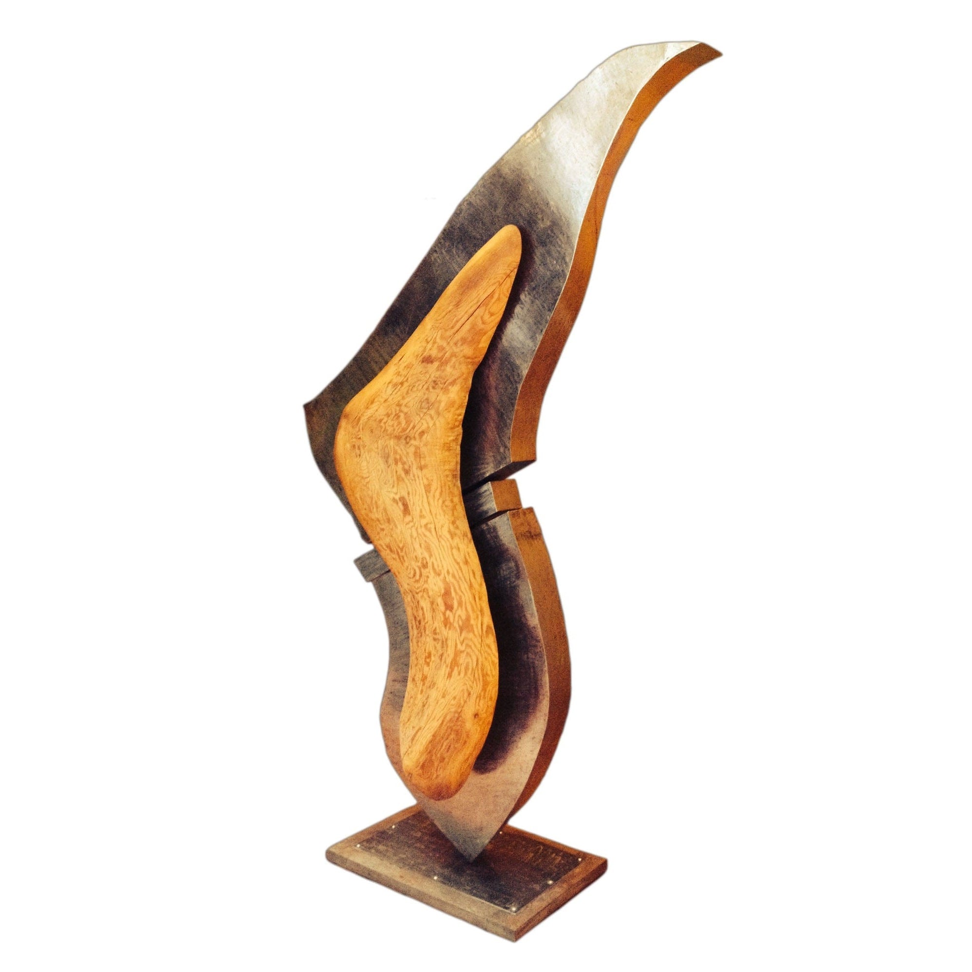 Thomas Born – Art Works Gallery